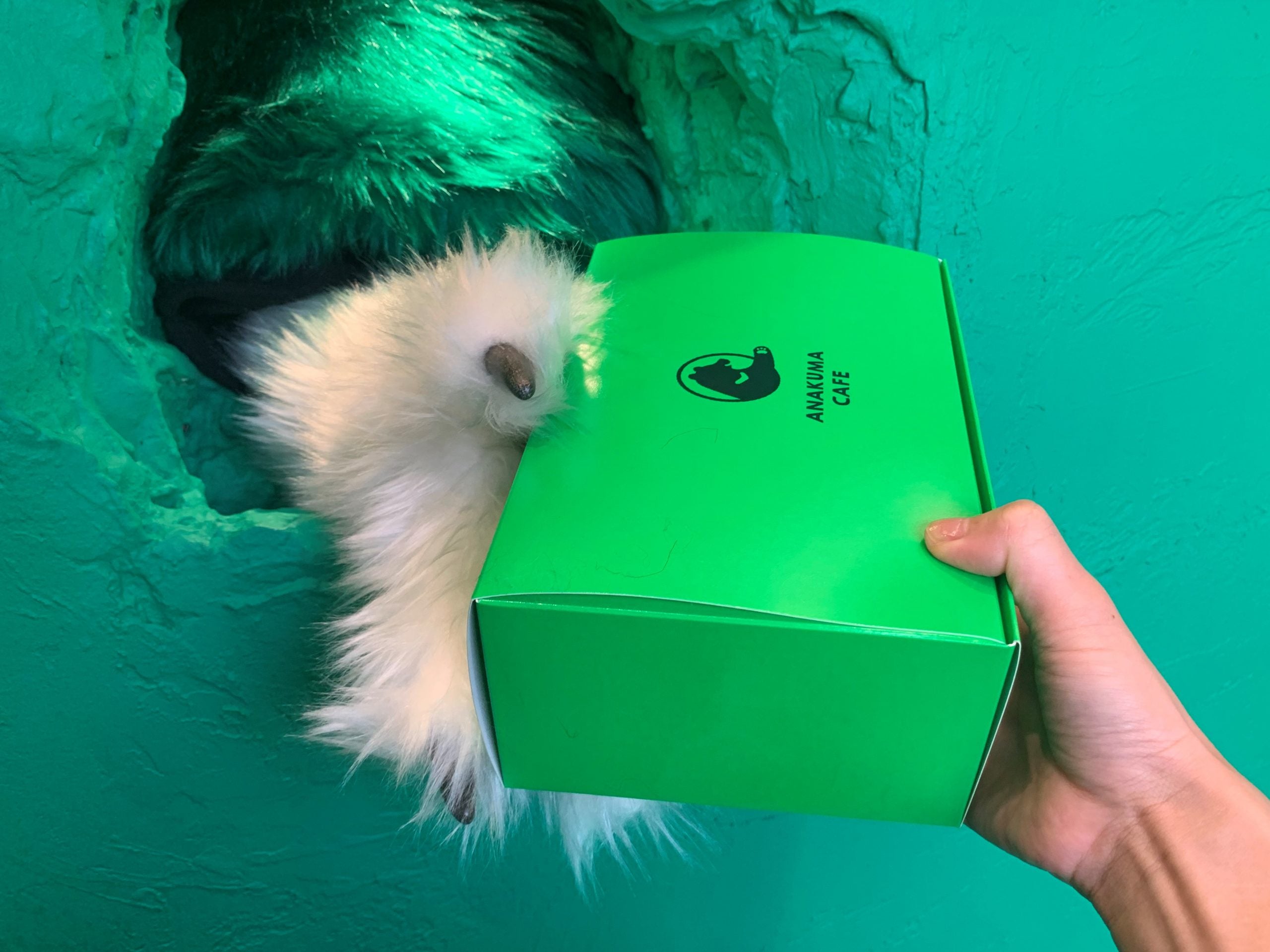 10/5オープン！【原宿】クマが手渡ししてくれる!?『ANAKUMA CAFE』｜シティリビングWeb